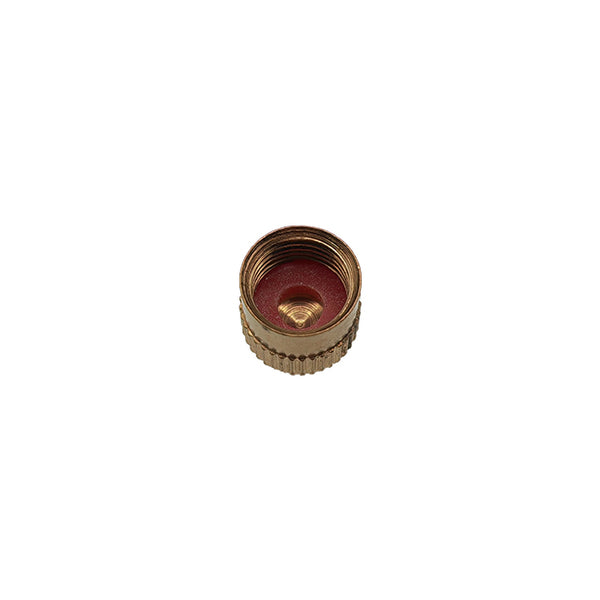 PROVULKA : GFBR0008 - Bouchon de valve métallique TRVC2 - pour valve de ...